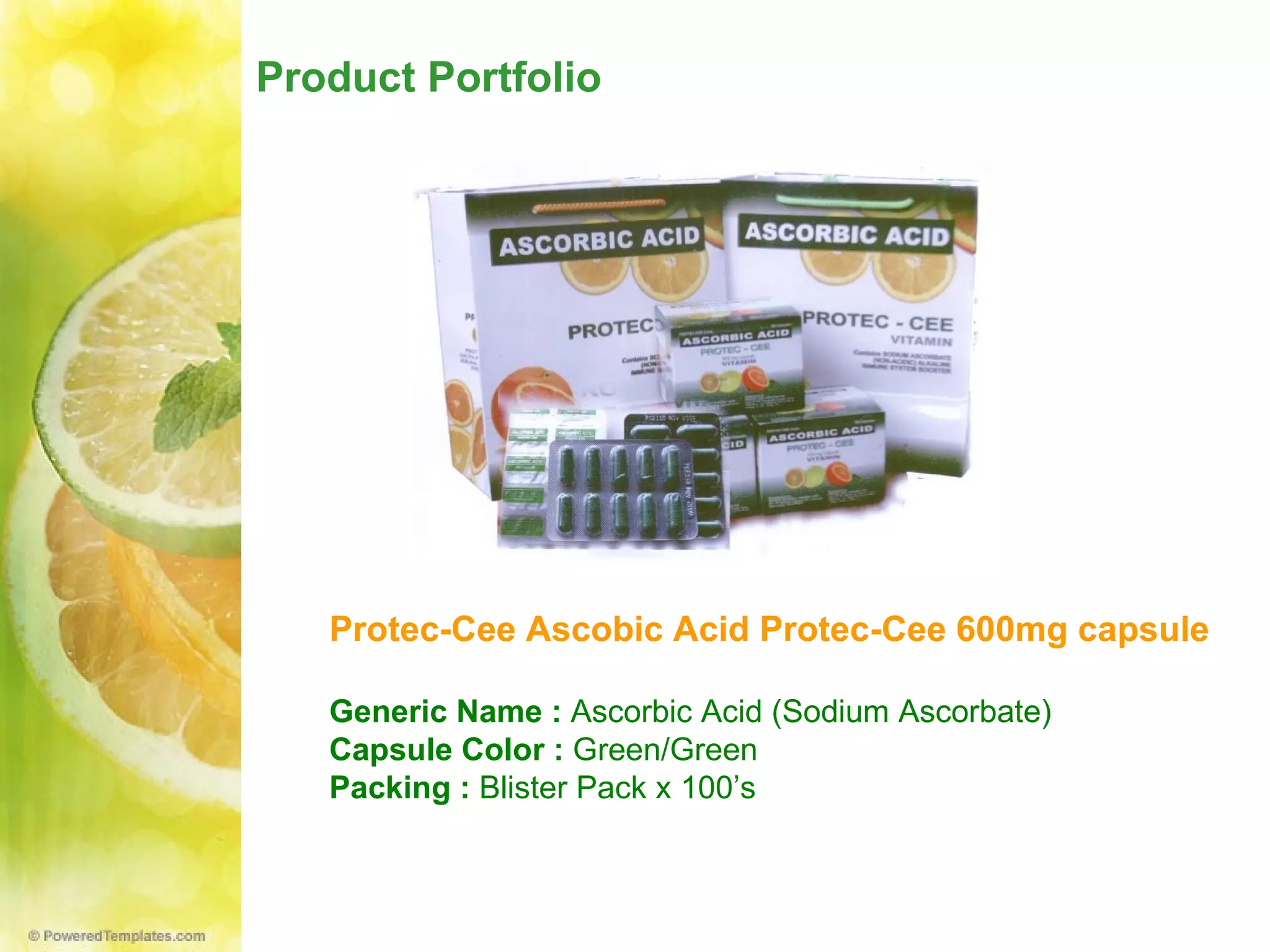 Protec Cee Business Presentation | PPT