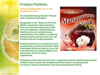 Protec Cee Business Presentation | PPT