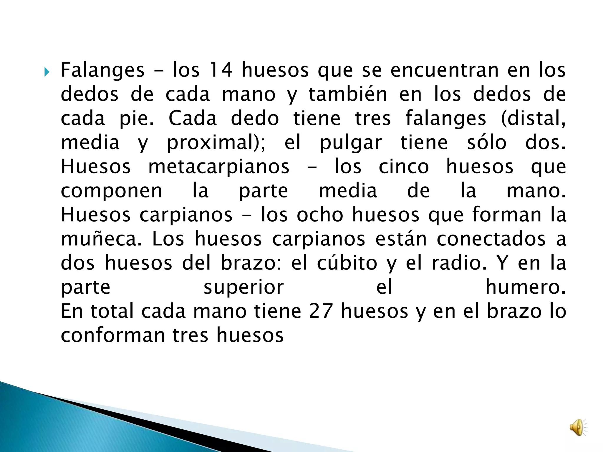 Proteccion De Manos Y Brazos | PPTX
