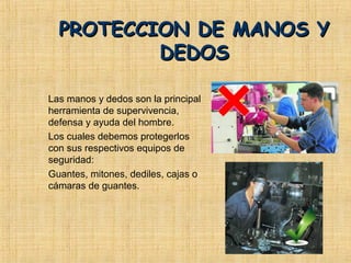 EPP MANOS Y DEDOS | PPT