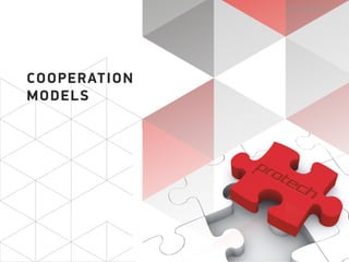 Protech Presentation | PDF