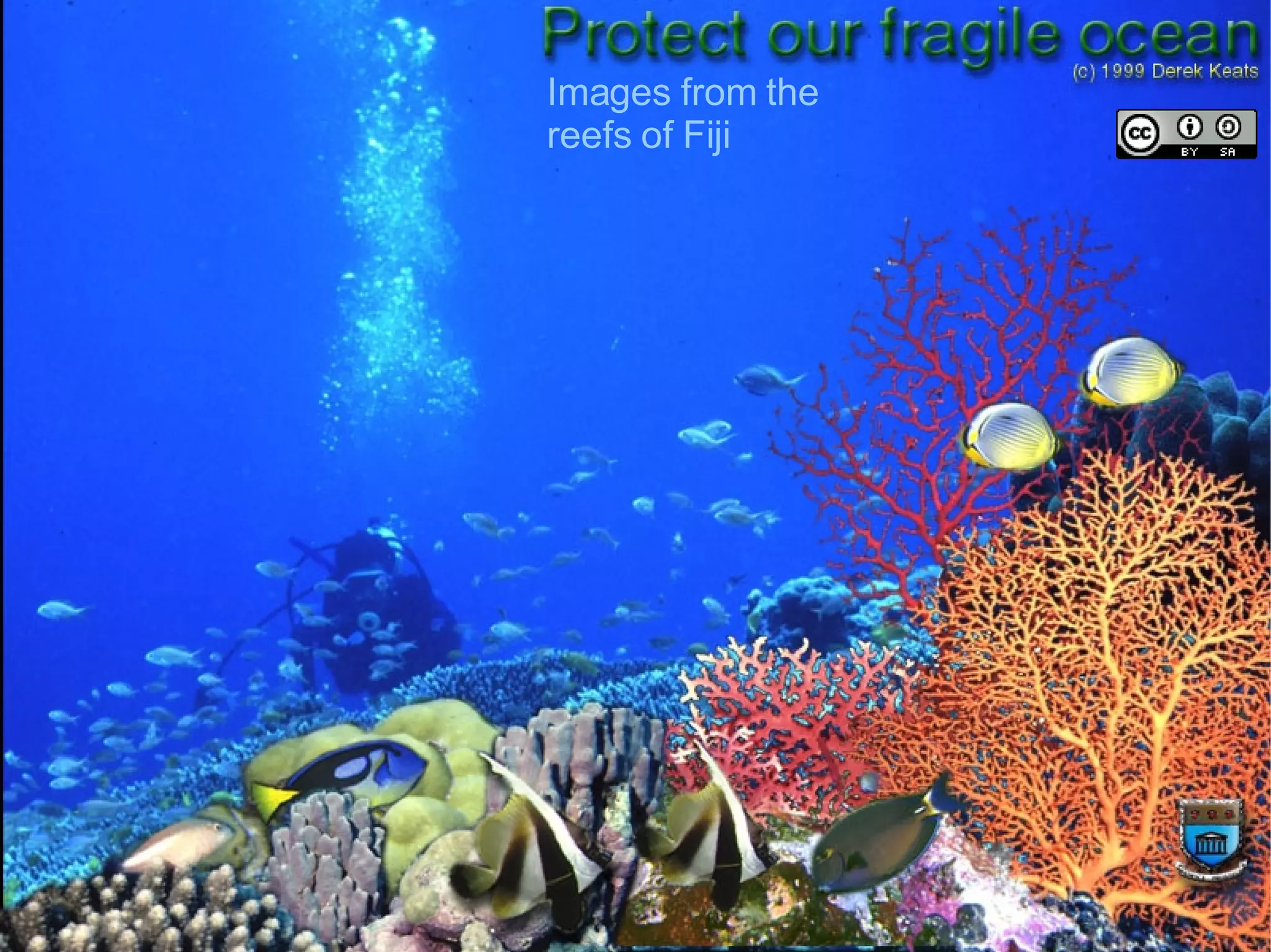 Protect our Fragile Oceans | ODP