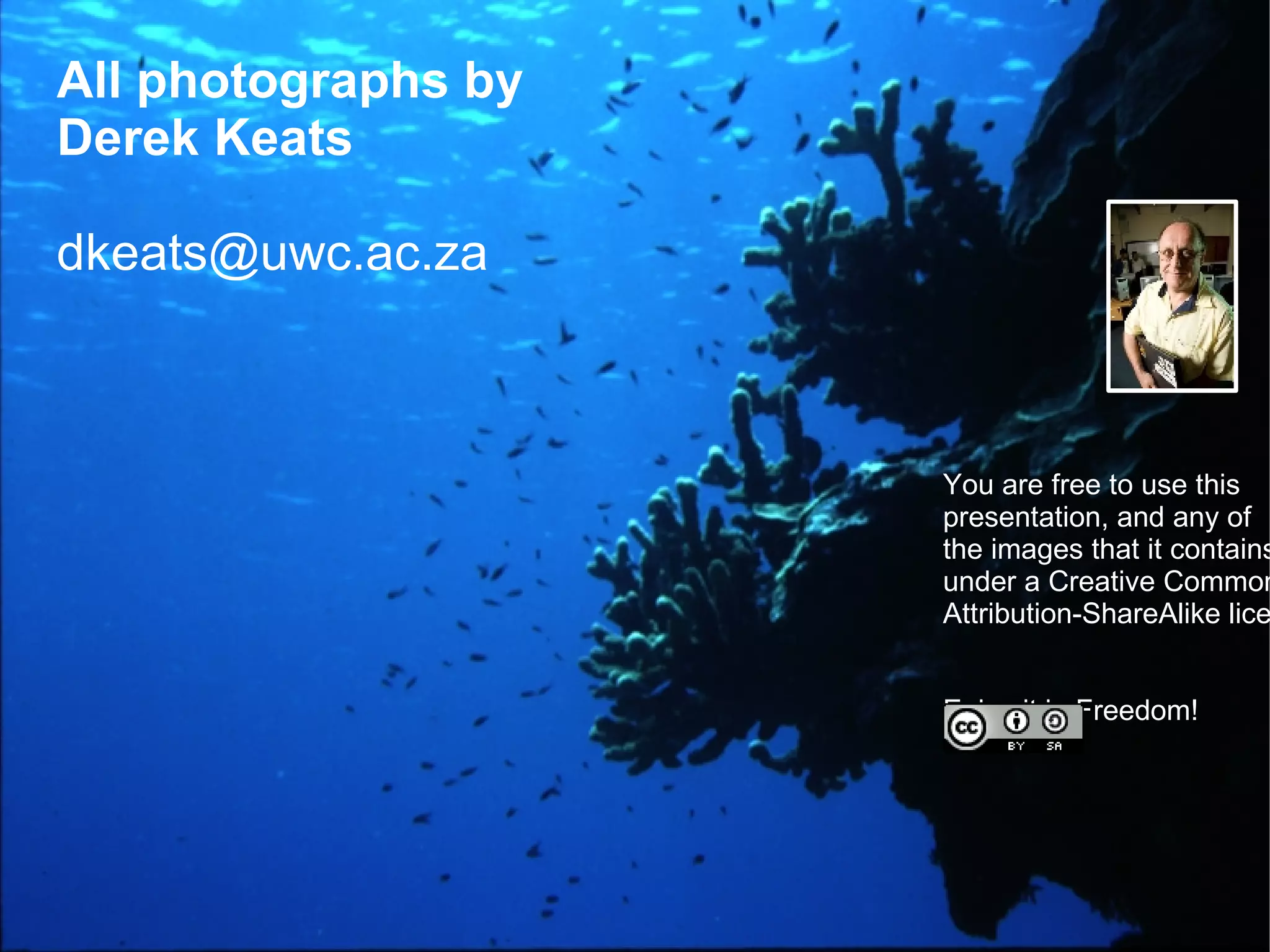 Protect our Fragile Oceans | ODP