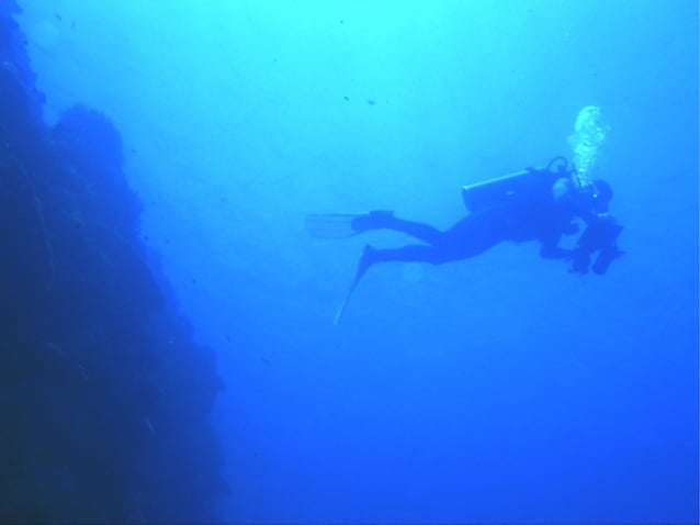 Protect our Fragile Oceans | ODP