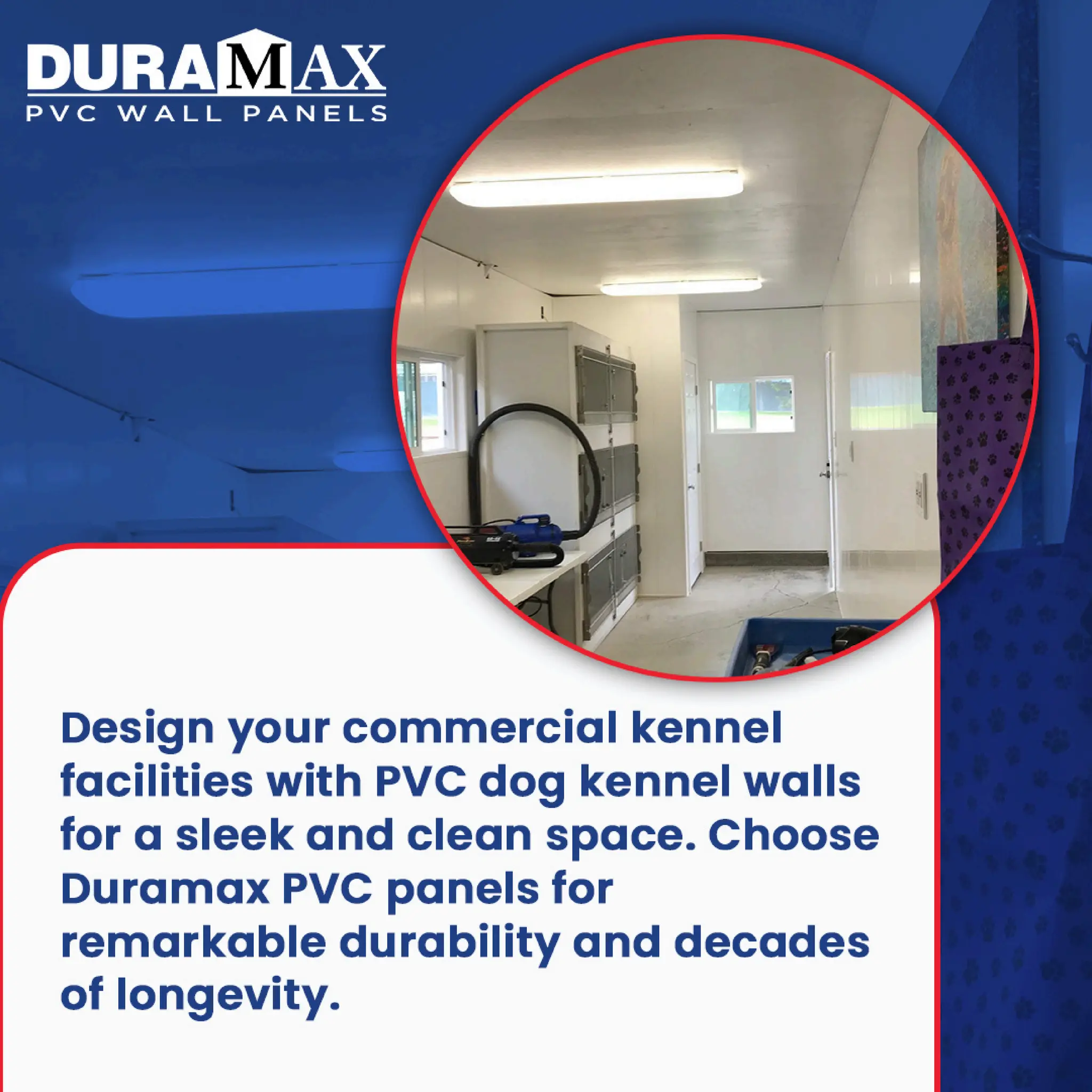 Protect-your-kennel-interiors-with-PVC-wall-covering-for-dog-kennels (2 ...