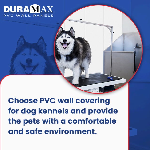 Protect-your-kennel-interiors-with-PVC-wall-covering-for-dog-kennels (2 ...