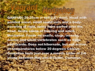 Protected Animals | PPT