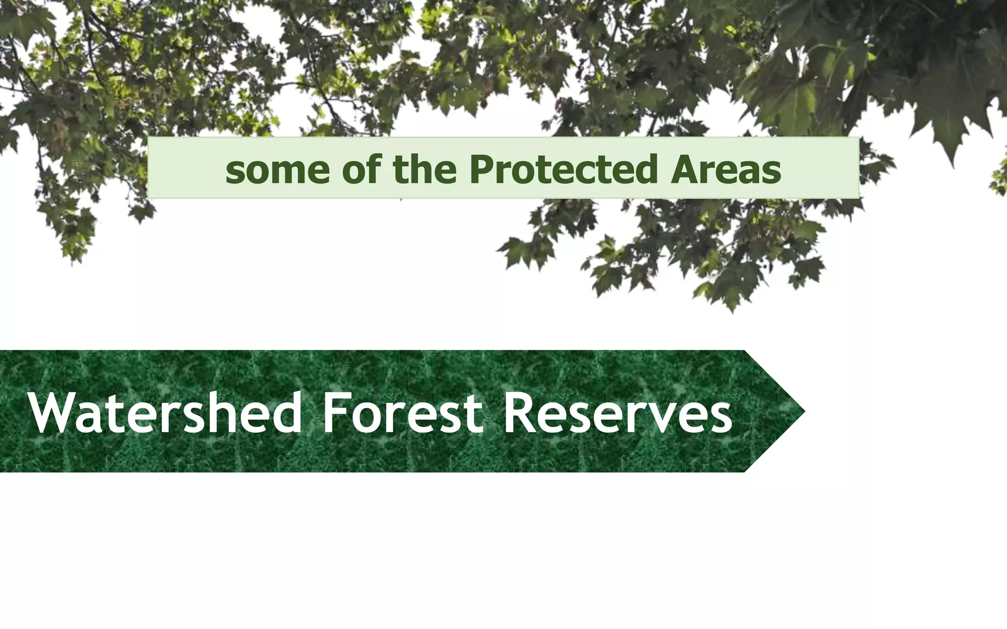 Protected areas ph eng sp1 | PPTX