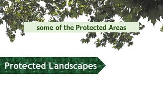 Protected areas ph eng sp1 | PPTX