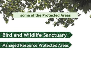 Protected areas ph eng sp1 | PPTX