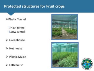 Status of Protected Cultivation in India and Abroad | PPTX