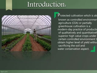 Protected Cultivation | PPTX