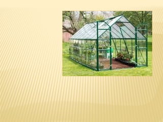 Protected cultivation power point presentation | PPTX
