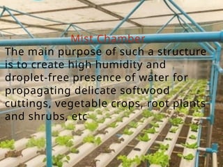 Protected Cultivation in Hi-Tech Horticulture | PPTX