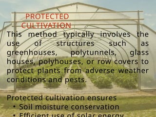 Protected Cultivation in Hi-Tech Horticulture | PPTX