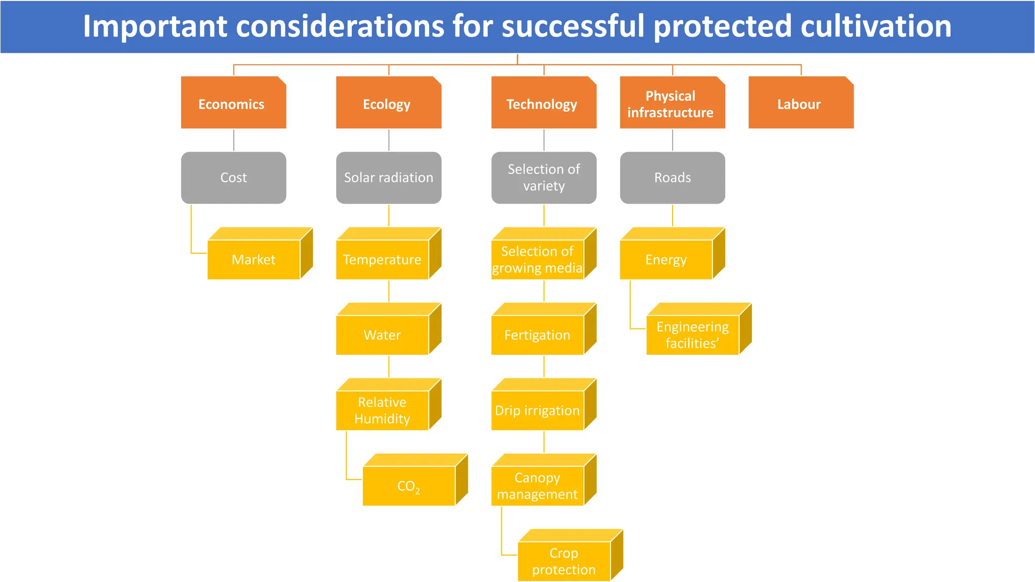 present status and prospects of protected cultivation in vegetable ...