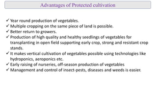 present status and prospects of protected cultivation in vegetable ...