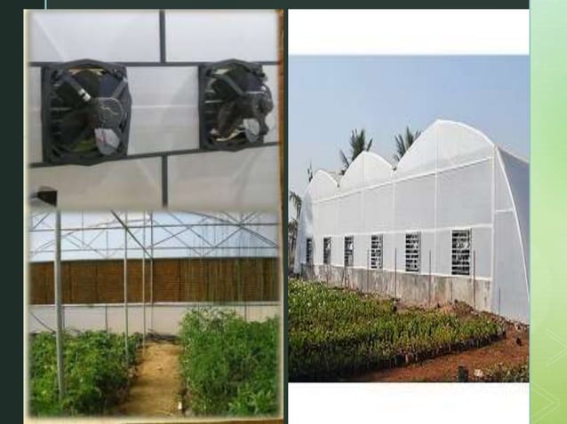 Protected cultivation | PPTX