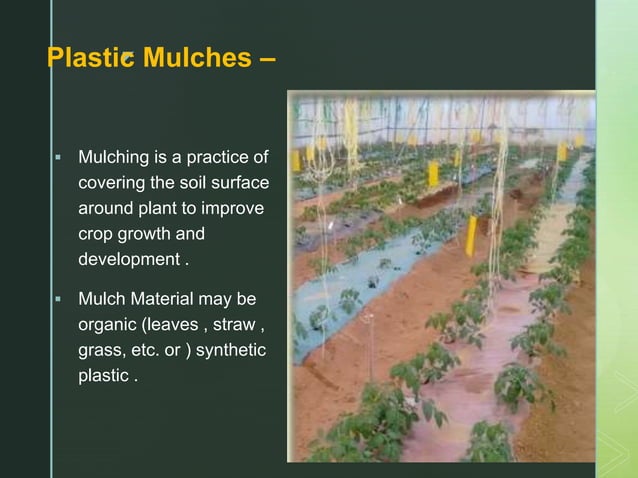 Protected cultivation | PPTX