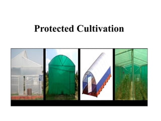 protected cultivation and types of protected cultivation | PPTX
