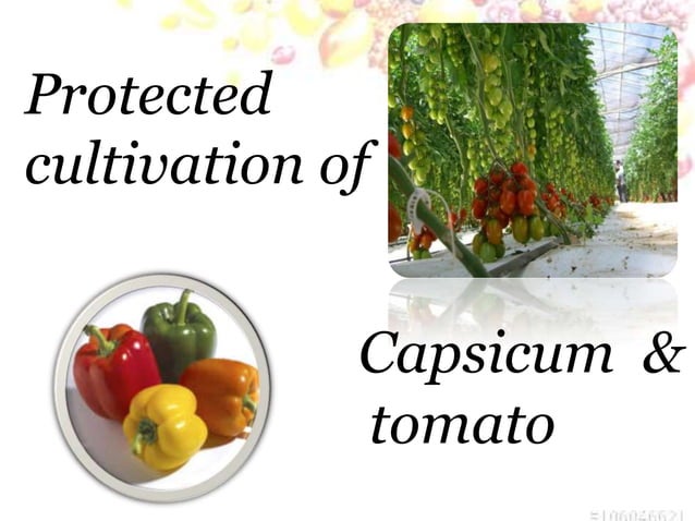 Protected Cultivation -shadenet and polyhouse | PPT