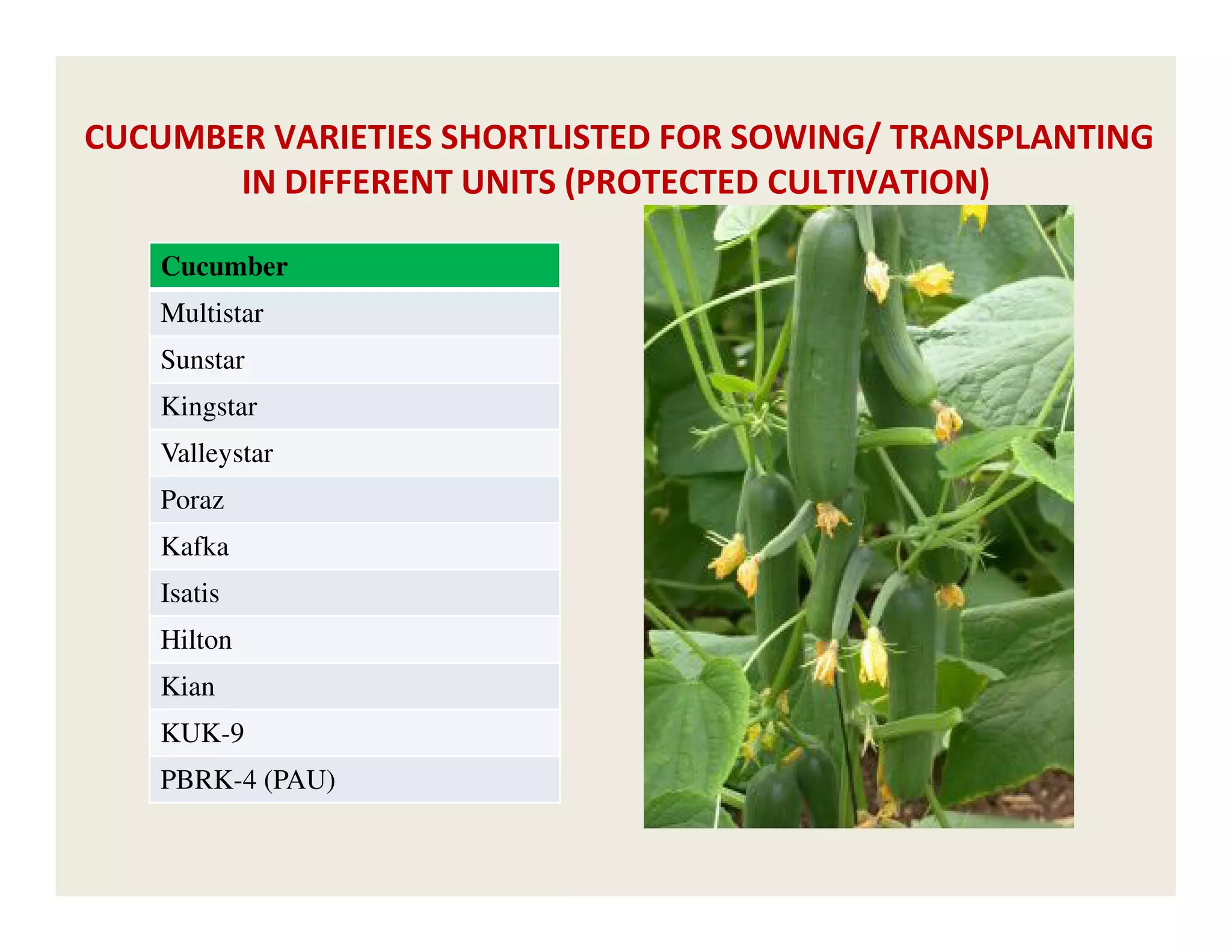 Protected cultivation of vegetables | PDF