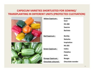 Protected cultivation of vegetables | PDF