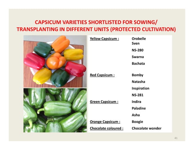 Protected cultivation of vegetables | PDF | Agriculture | Industries
