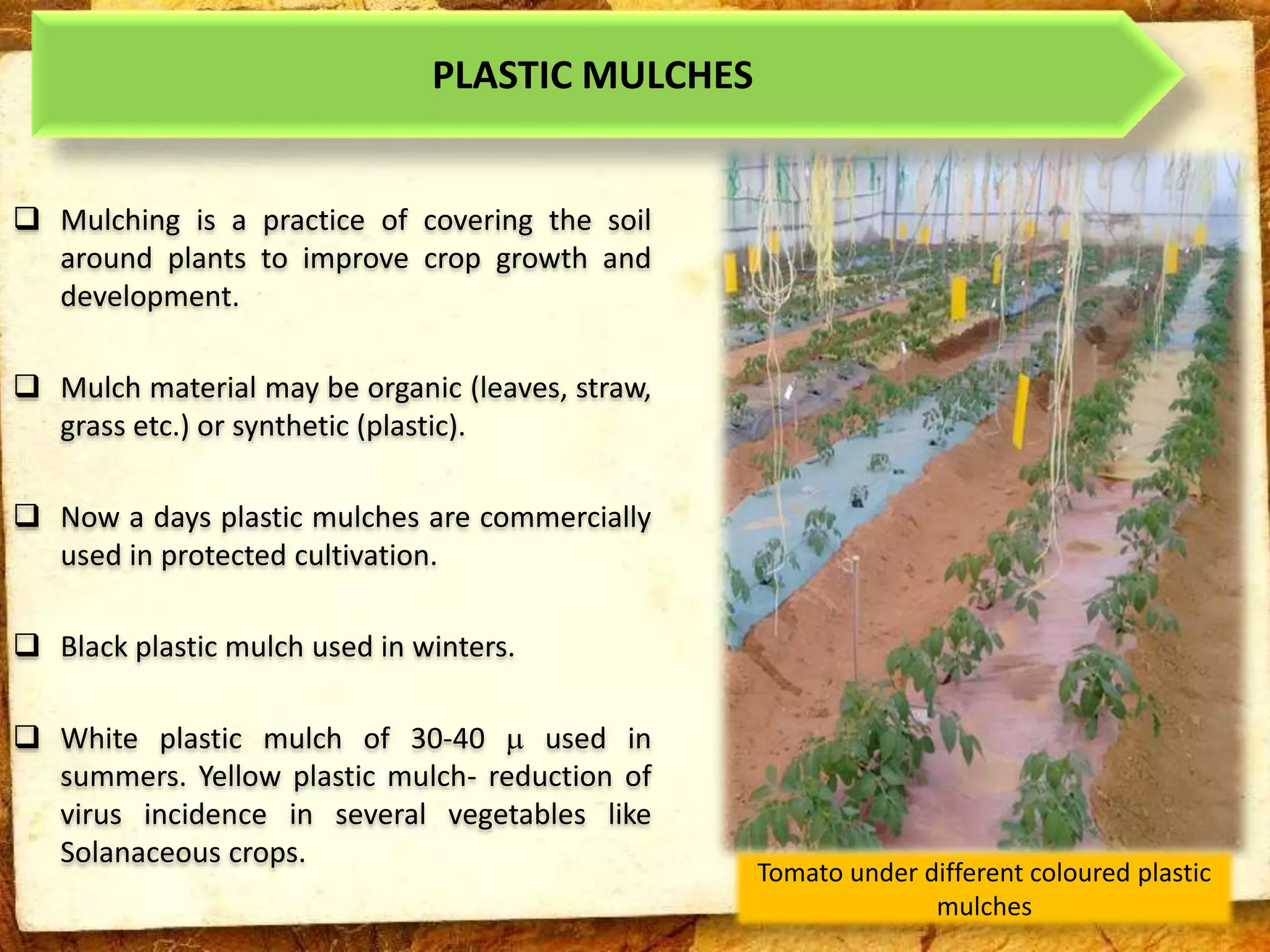 Protected cultivation of vegetable crops BY HARMANJEET | PPTX