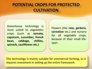 Protected cultivation of vegetable crops BY HARMANJEET | PPTX