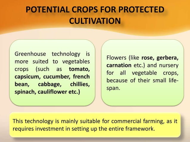 Protected cultivation of vegetable crops BY HARMANJEET | PPTX ...