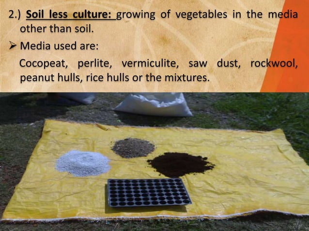 Protected cultivation of vegetable crops BY HARMANJEET | PPTX ...