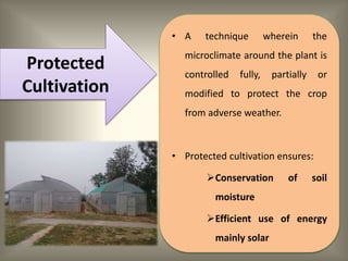 Protected cultivation of vegetable crops BY HARMANJEET | PPTX