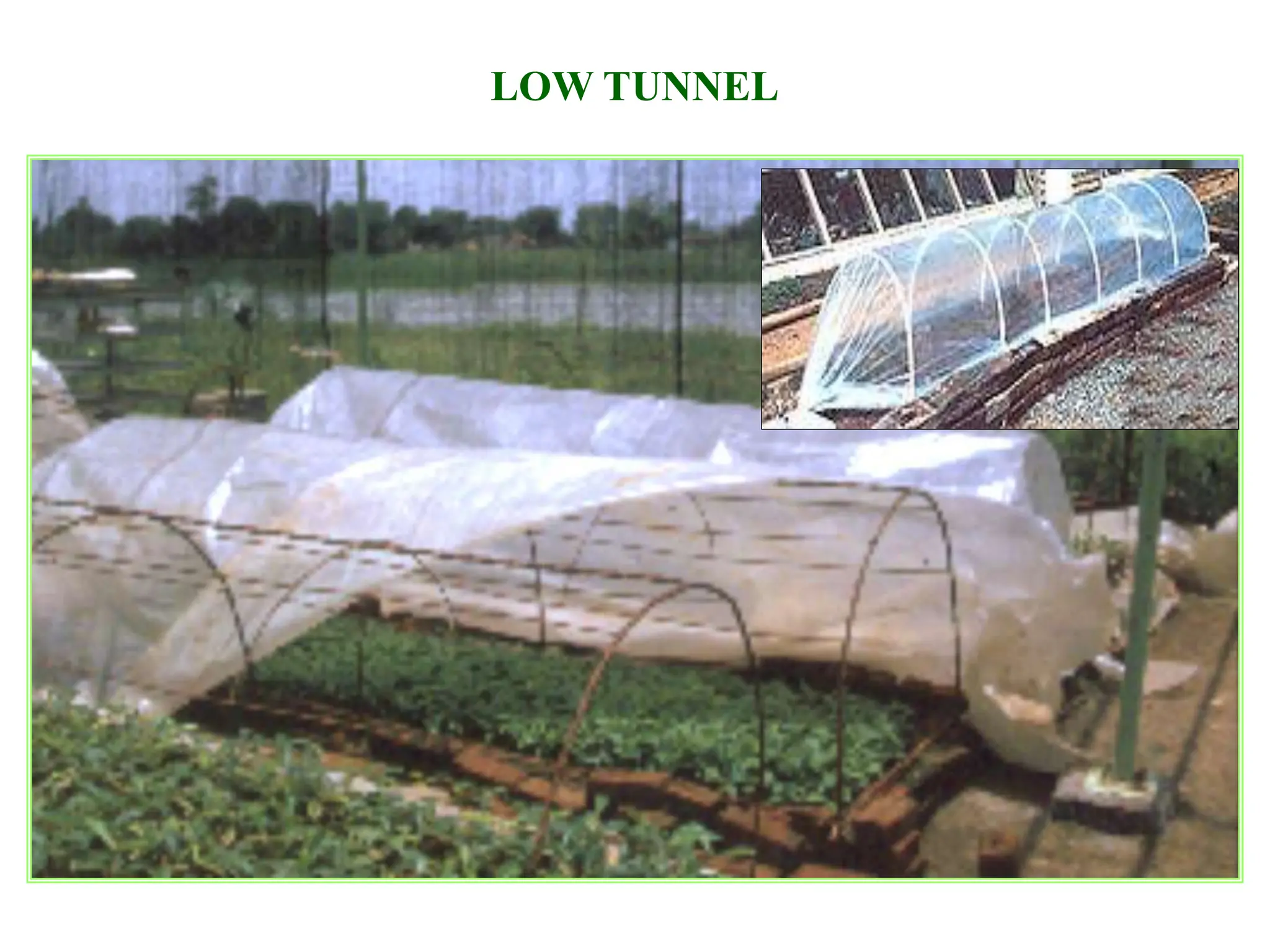 Protected Structures.ppt