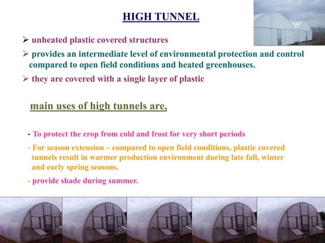 Protected Structures.ppt | Gardening | Home & Garden