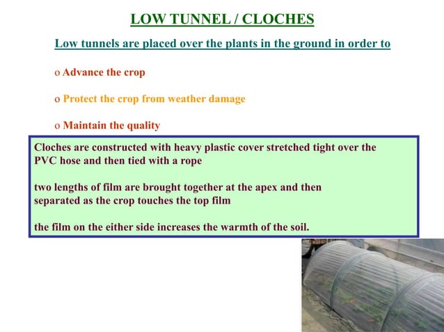 Protected Structures.ppt | Gardening | Home & Garden