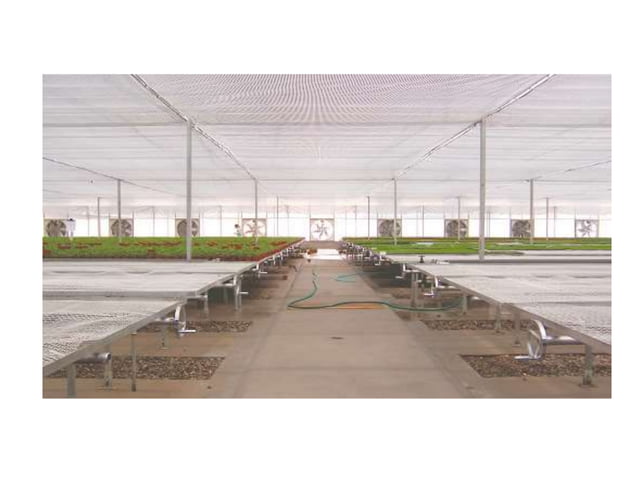 Protected Structures.ppt | Gardening | Home & Garden