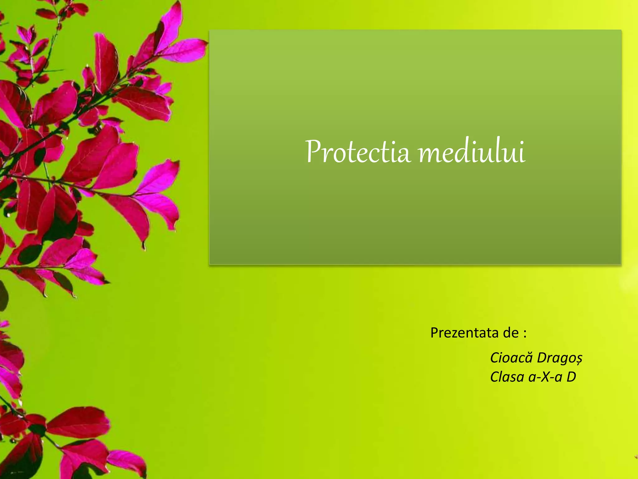 Protectia mediului | PPTX