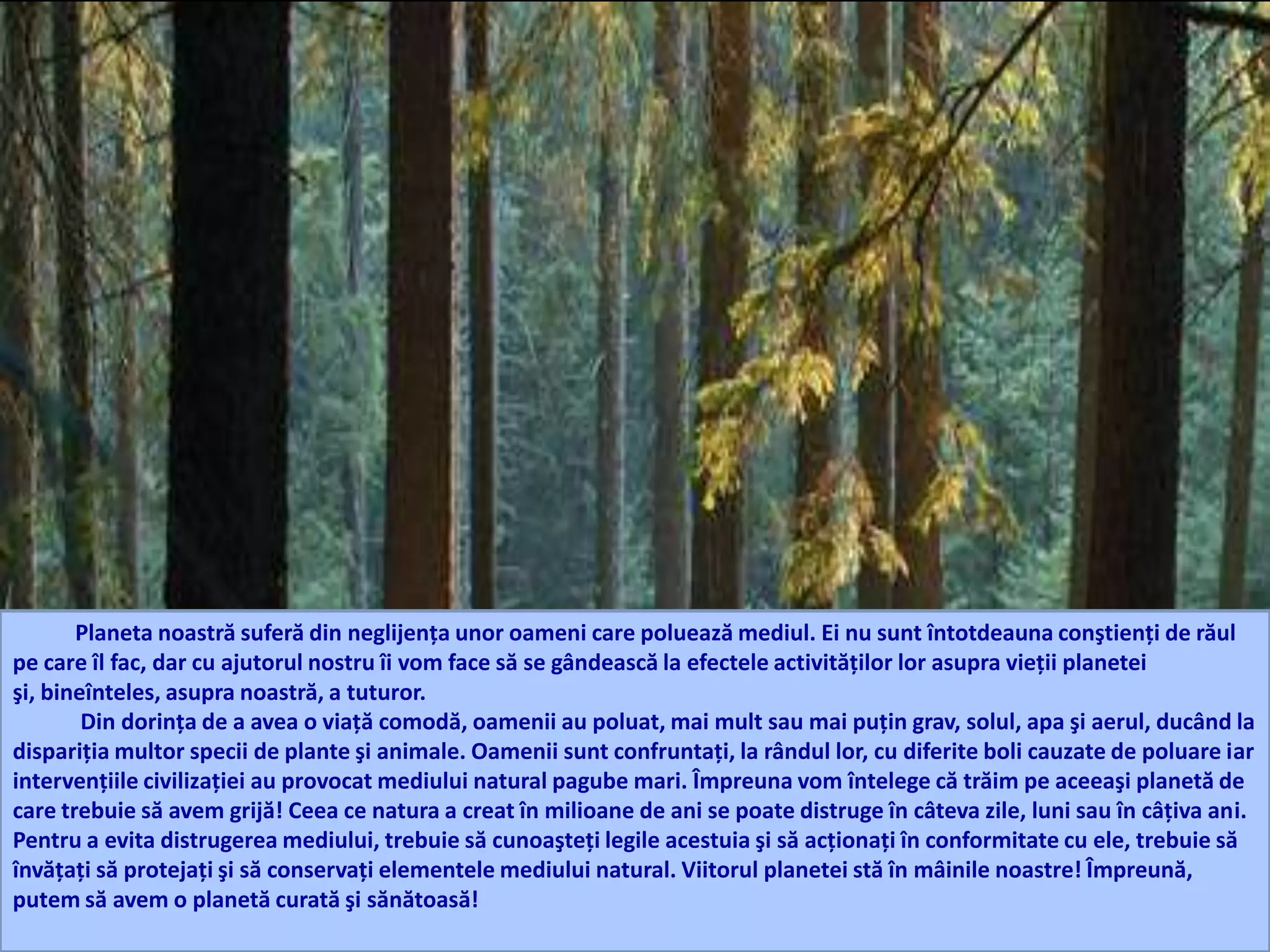 Protectia mediului material didactic | PPT