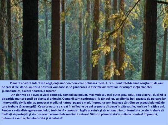 Protectia mediului material didactic | PPT