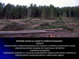 Protectia mediului material didactic | PPT