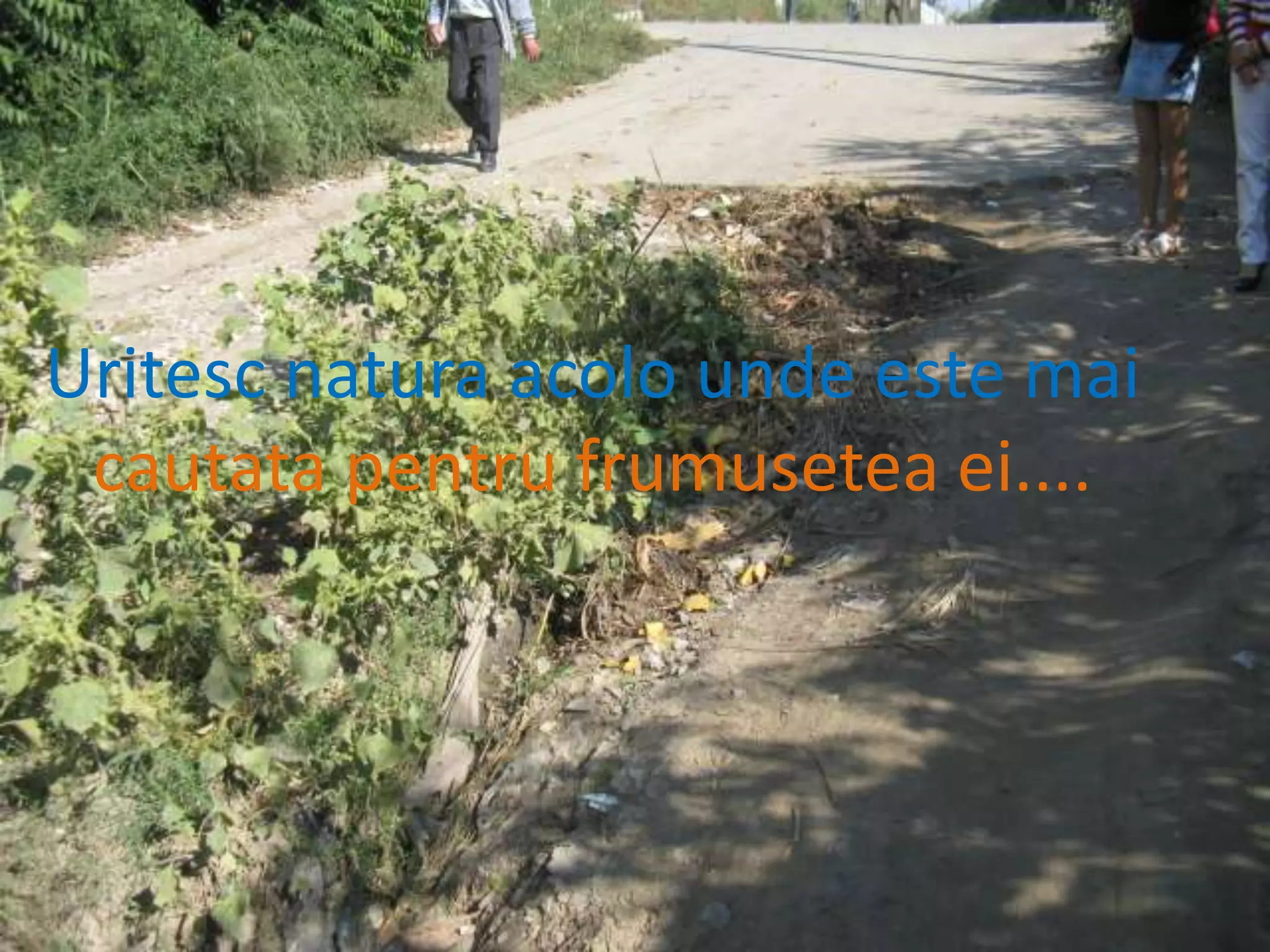 Protectia mediului inconjurator | PPTX