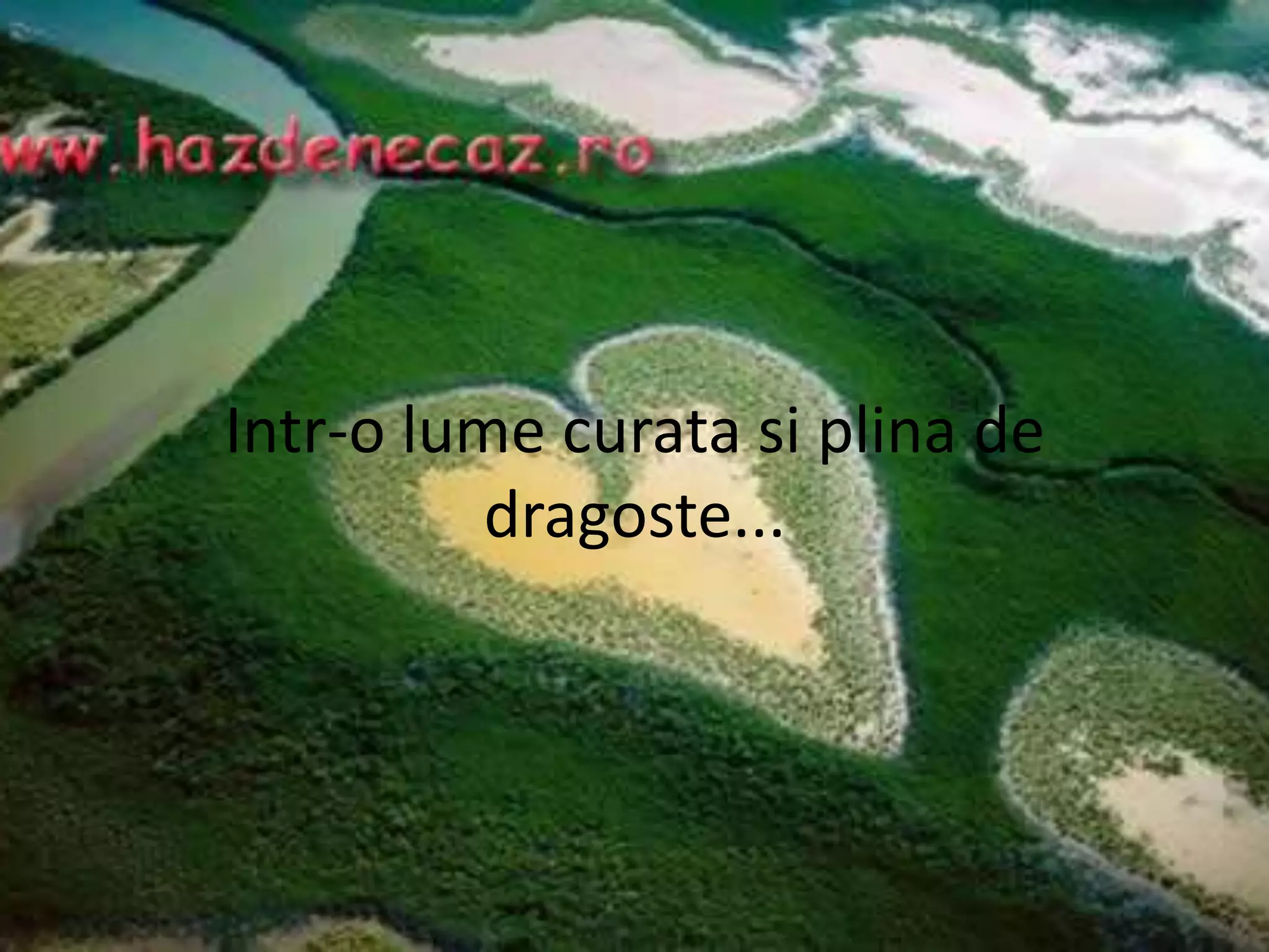 Protectia mediului inconjurator | PPTX