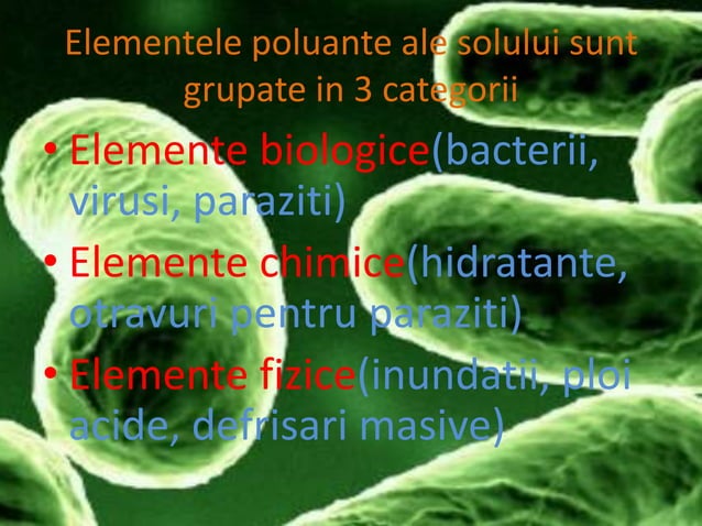 Protectia mediului inconjurator | PPTX