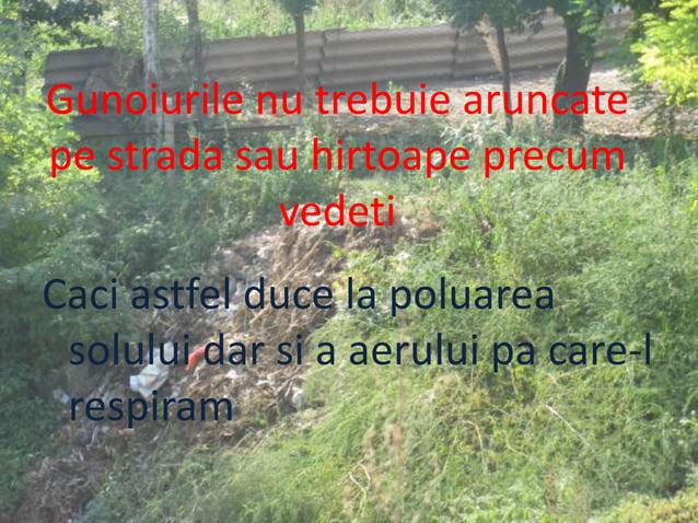 Protectia mediului inconjurator | PPTX