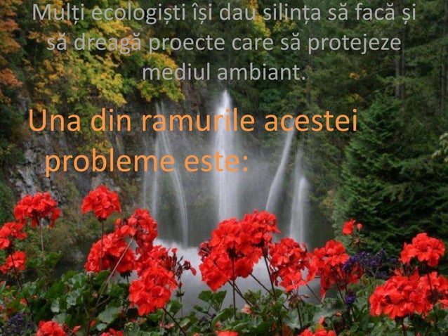 Protectia mediului inconjurator | PPTX