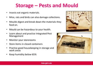 Protecting and preserving small collections by Prue McKay | PPT