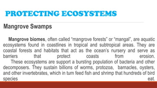 PROTECTING ECOSYSTEMS GRADE 6 SCIENCE (IMMERSION).pptx