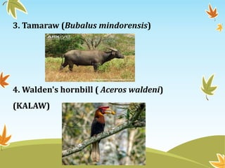 protecting endangered plant and animal species | PPT