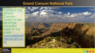 Protecting Grand Canyon Endangered Sentry Milk-Vetch Plant | PPT
